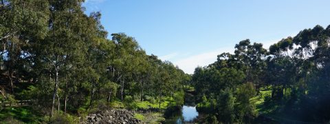 What are ecosystem services and what do they mean for physiotherapy ...