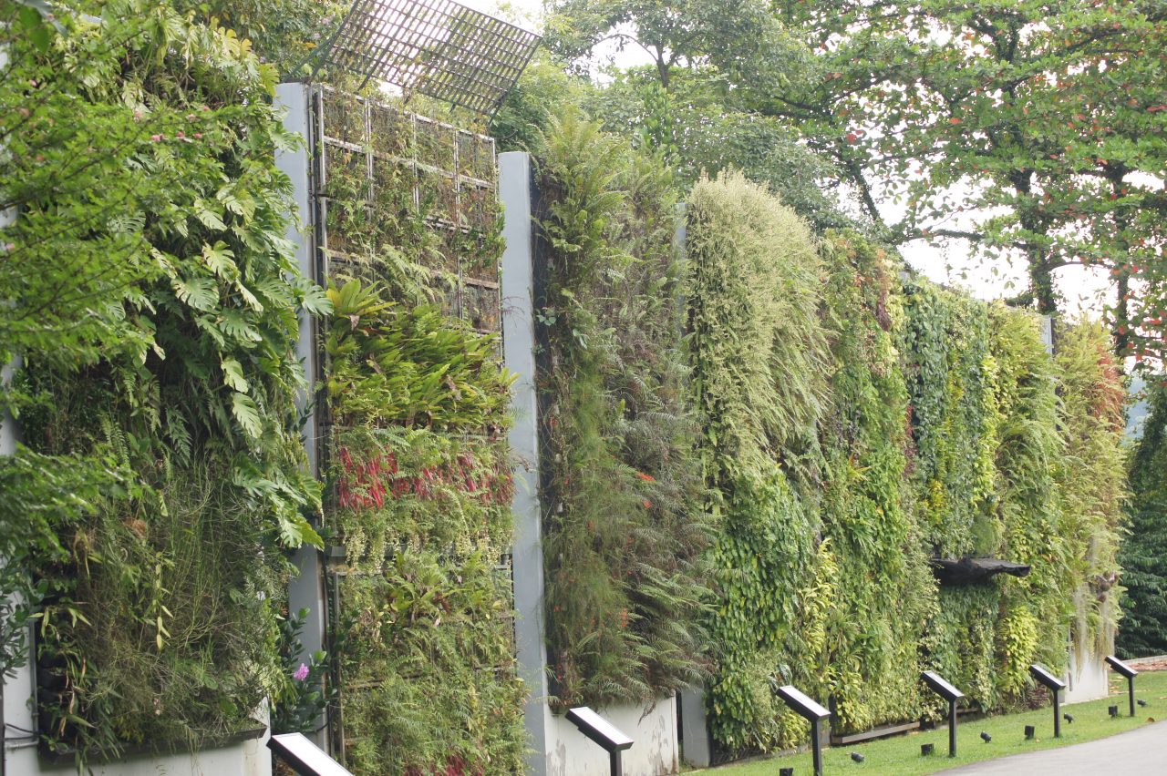 What are ecosystem services and what do they mean for physiotherapy ...