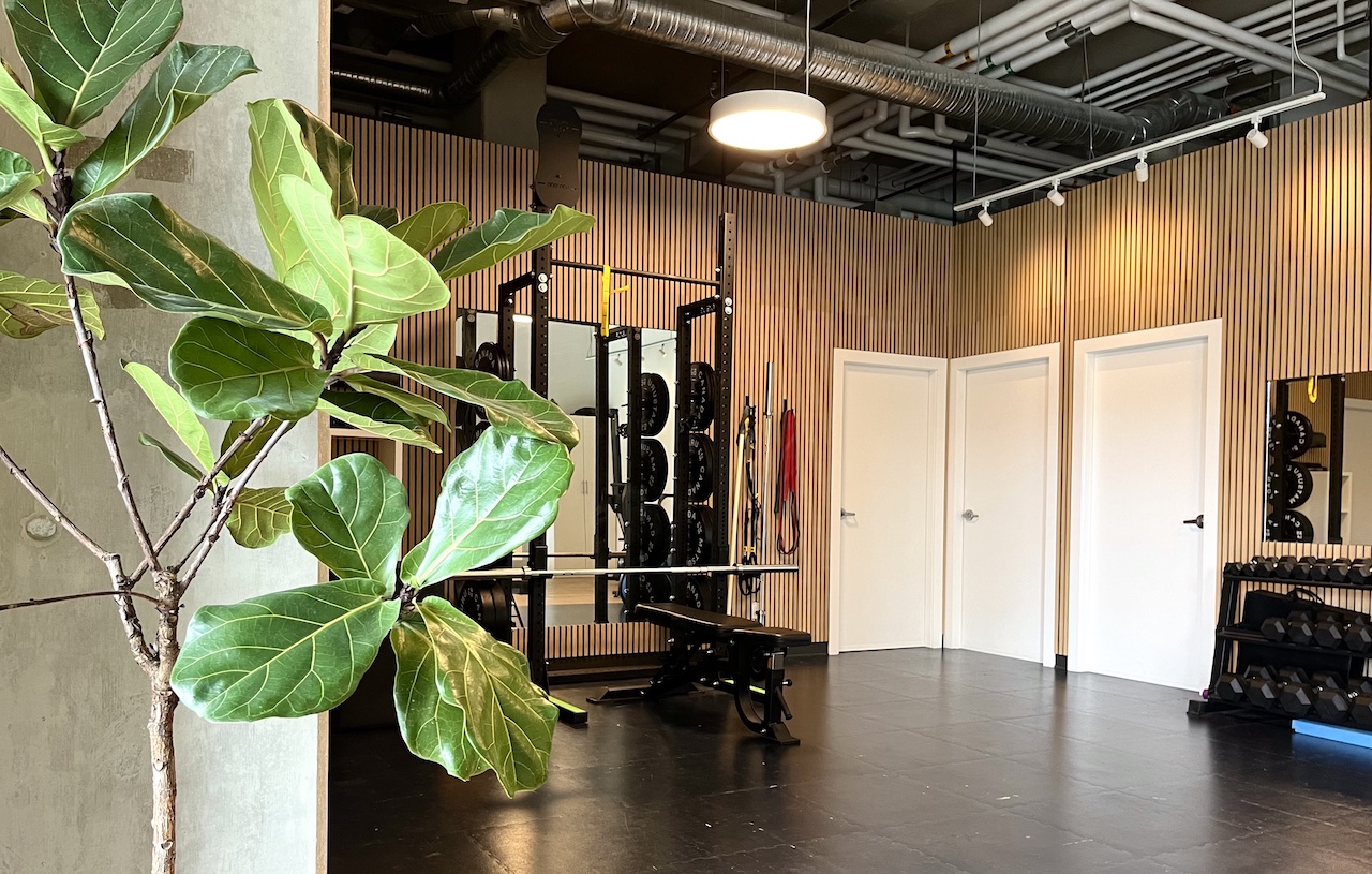 Blog | Environmental Physiotherapy Asscociation